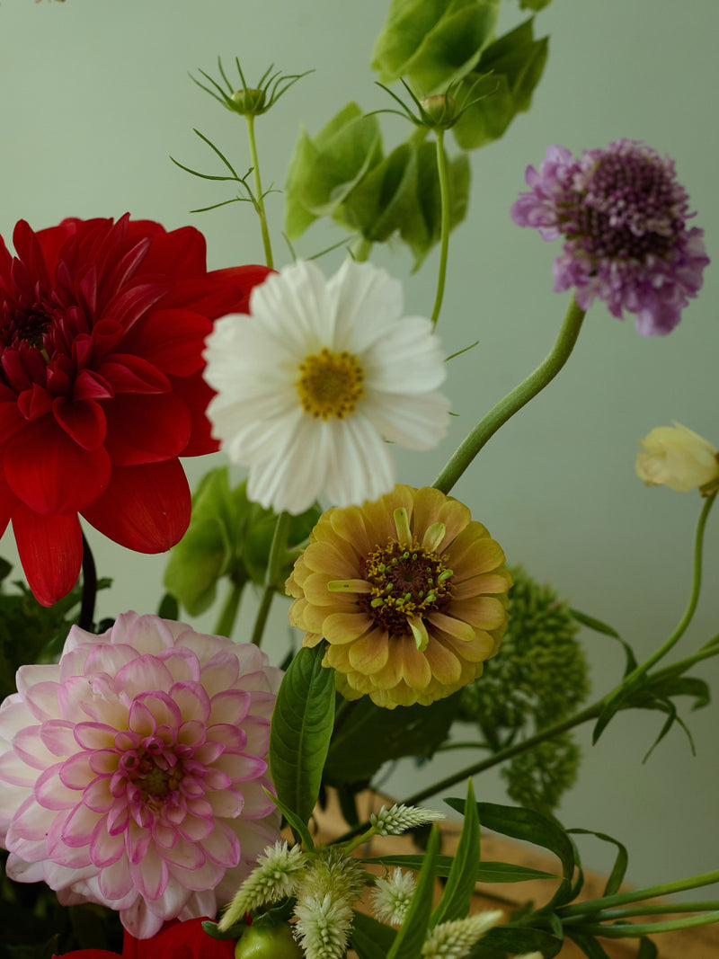 The Walter Pine Edit: Artfully Designed Flowers Delivered in ...