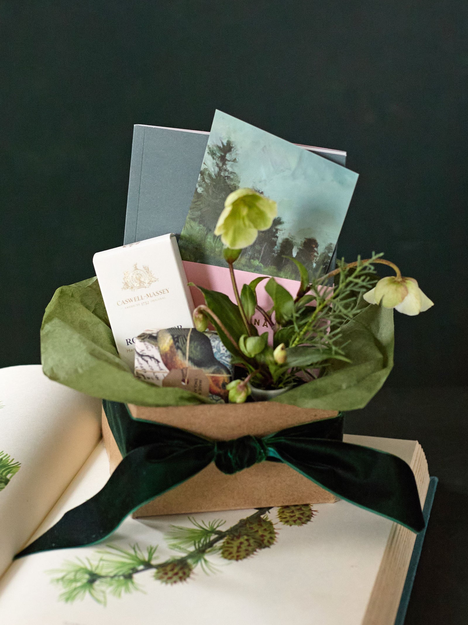 Gifts - Walter Pine Floral Studio