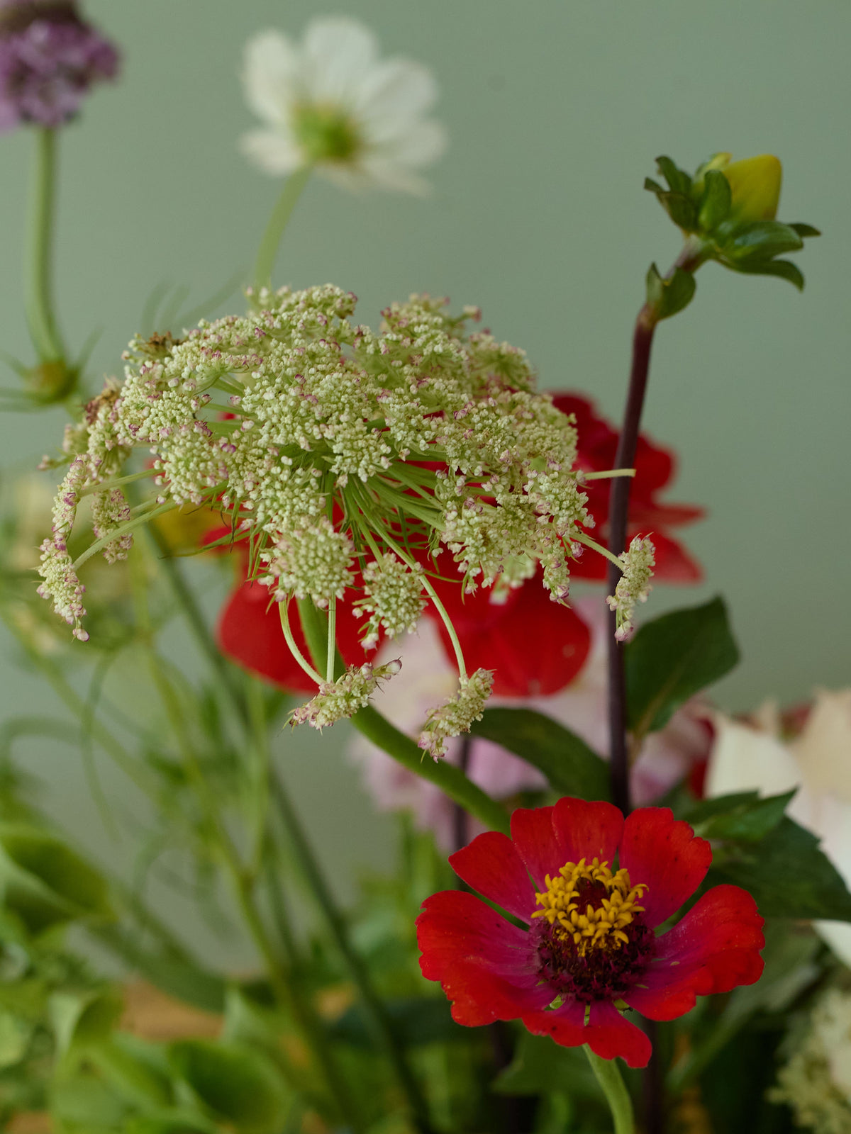 The Walter Pine Edit: Artfully Designed Flowers Delivered in Philadelphia - Walter Pine Floral ...